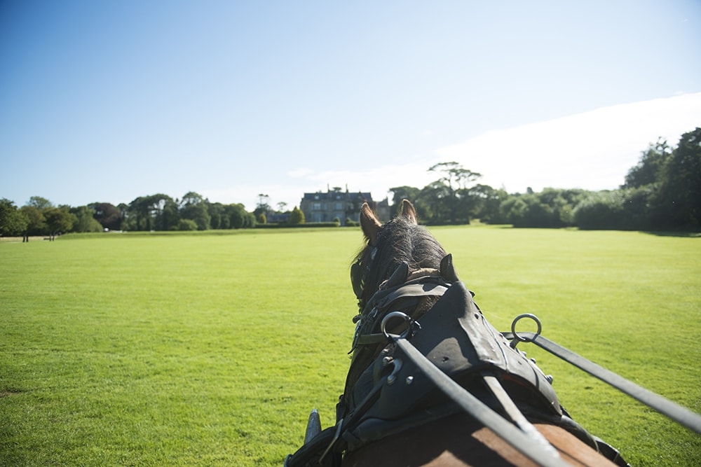 Muckross House & Lake Side Jaunt | Killarney Jaunting Cars